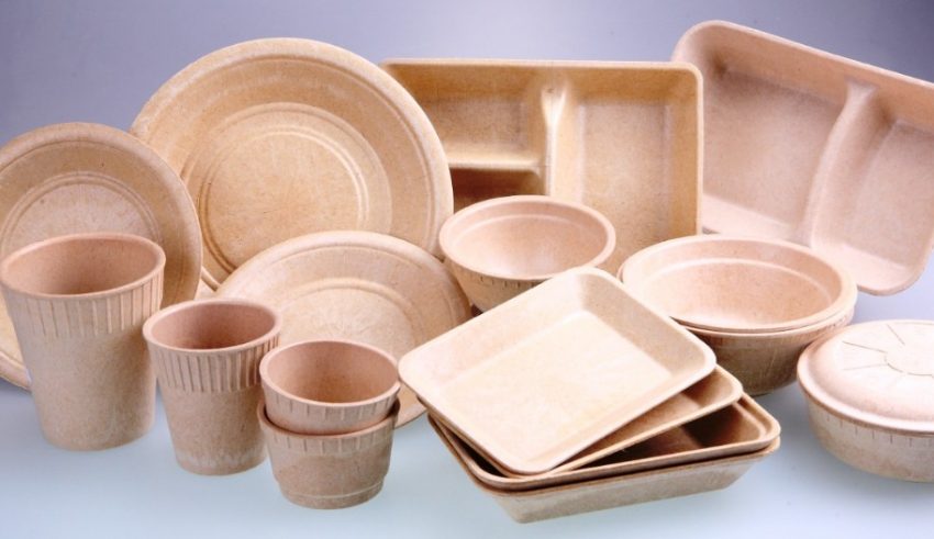 Universal Biopack makes Food Packaging out of Bamboo, to tackle ...